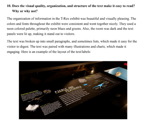 Students Explore American History Through a Museum Project